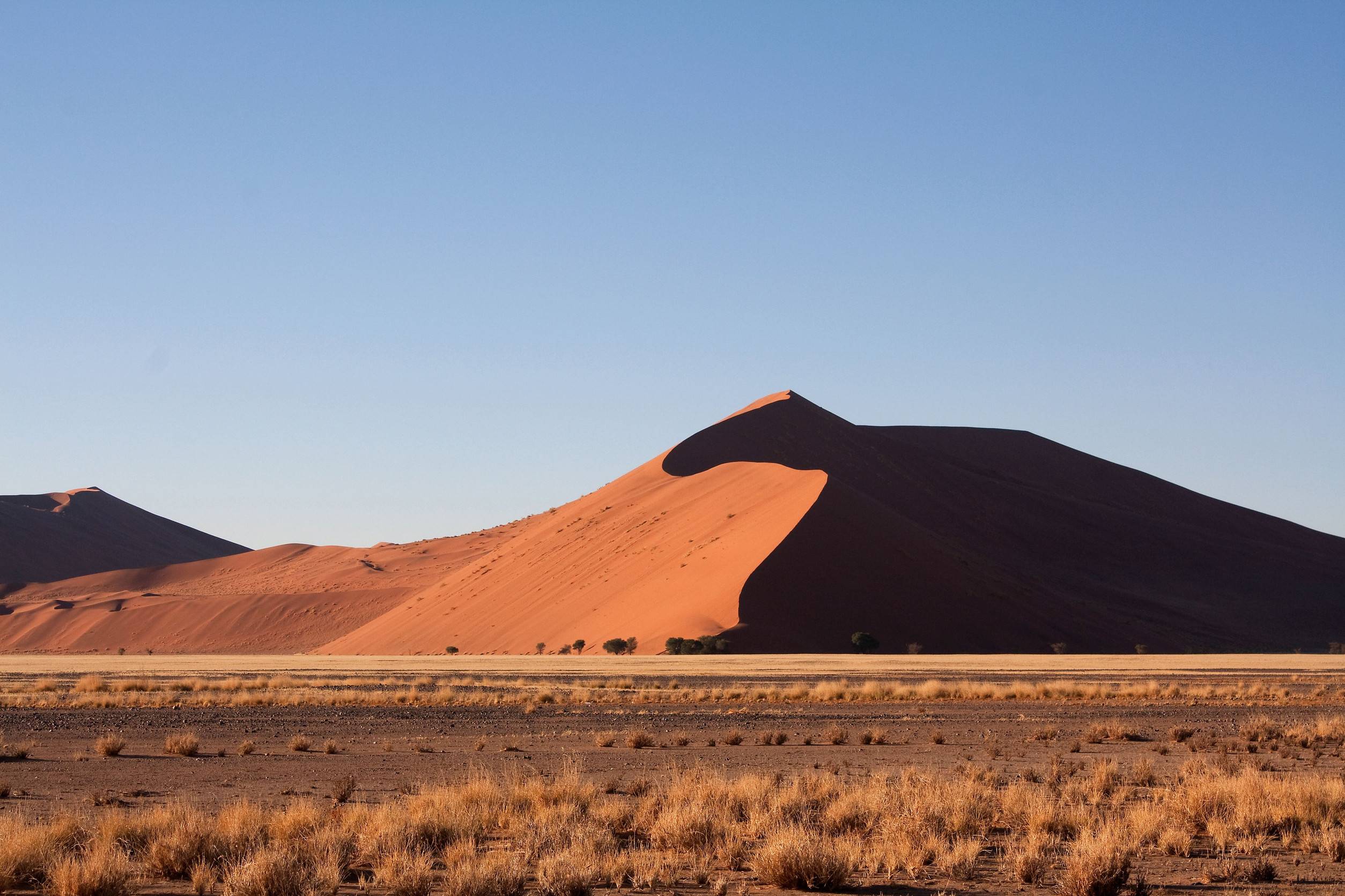 A Perfect Guide To Plan Your Namibia: Here Is Everything You Need To ...