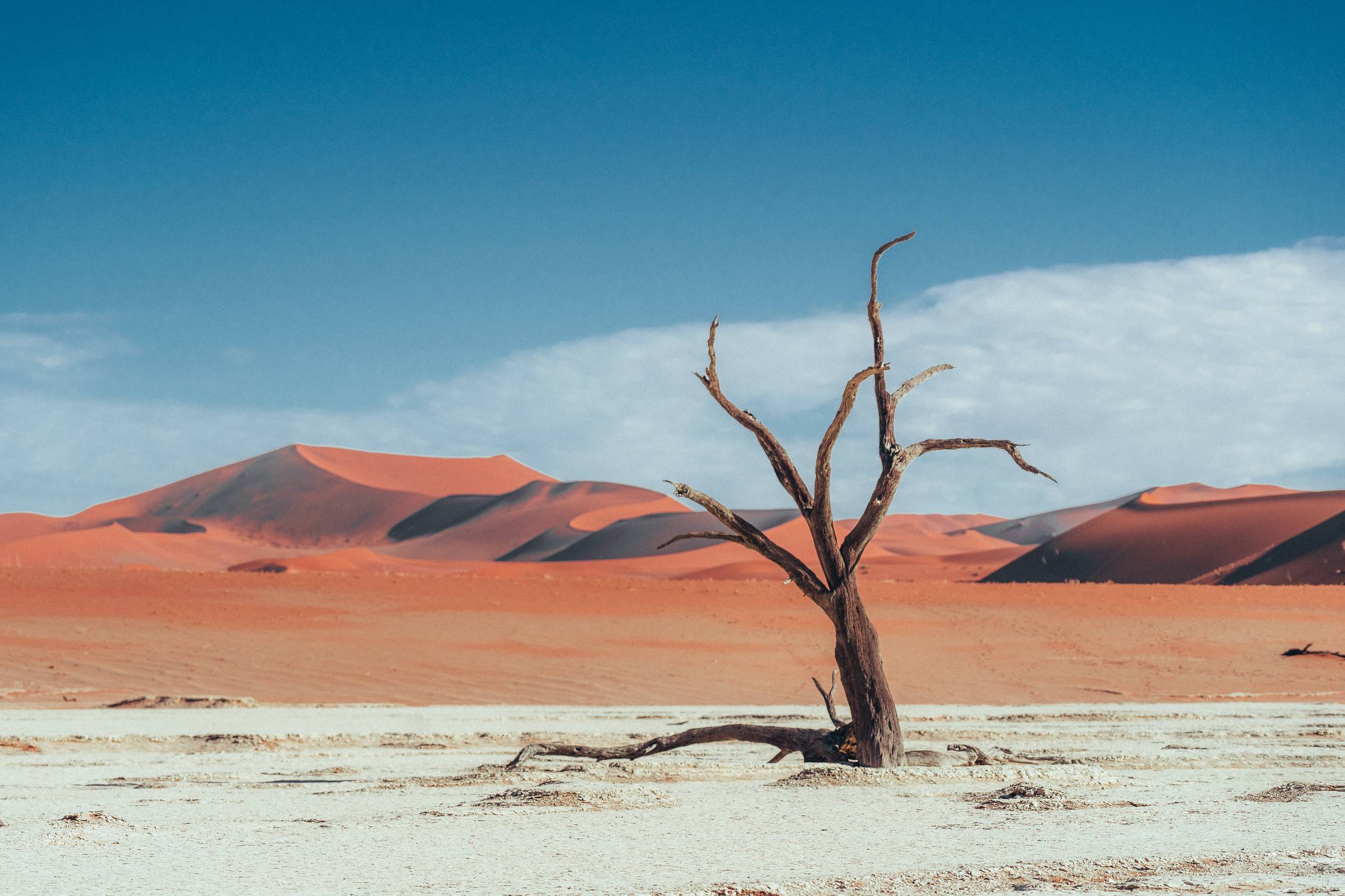 A Perfect Guide To Plan Your Namibia: Here Is Everything You Need To ...